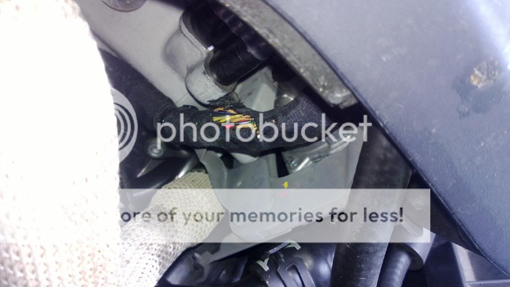 2010 2.0 tdi significant chafed wiring harness by oil filter | VW ...