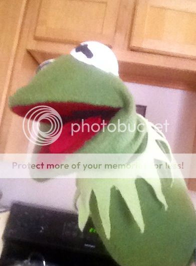 A look back at my Kermit builds | Muppet Central Forum